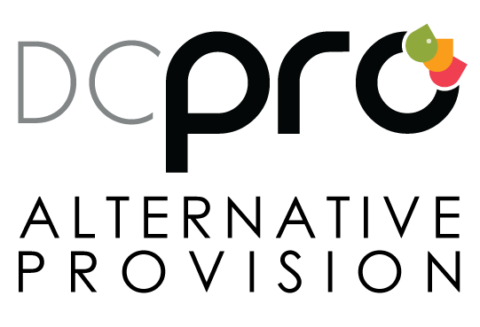 Different Class | Data Assessment and Software Development | Assessment, Software Development ...